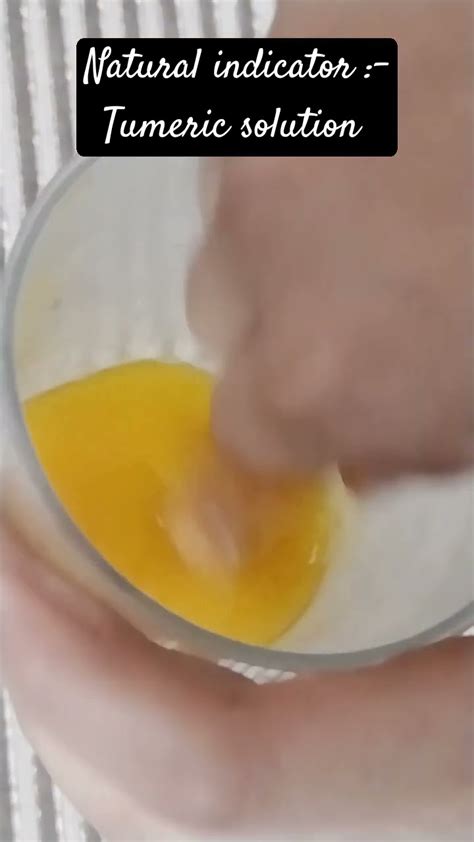 Natural Indicator Experiment Turmeric Powder Youtube
