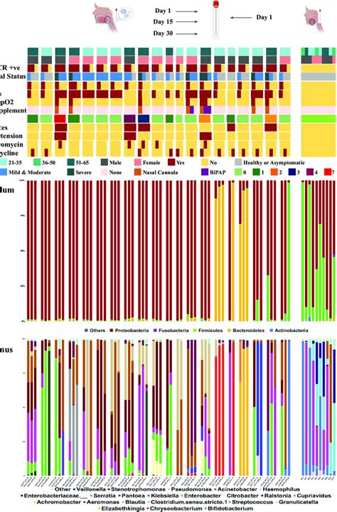 Schematic Representation Of The Study Design Demographic Download
