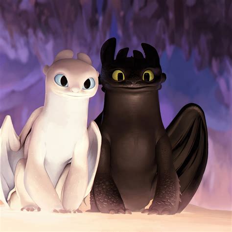 2048x2048 Toothless And Light Fury Ipad Air Hd 4k Wallpapersimages