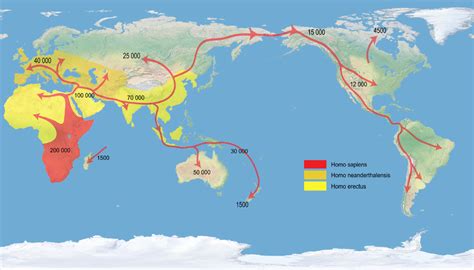 Patterson Cylindrical Projection