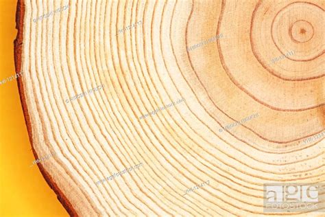 Annual Ring Of Tree Trunk Stock Photo Picture And Rights Managed Image Pic YH6 1214117