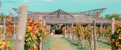 Bodega Gamboa Anunció Inversión De U S 2 Millones Y Se Expande A La