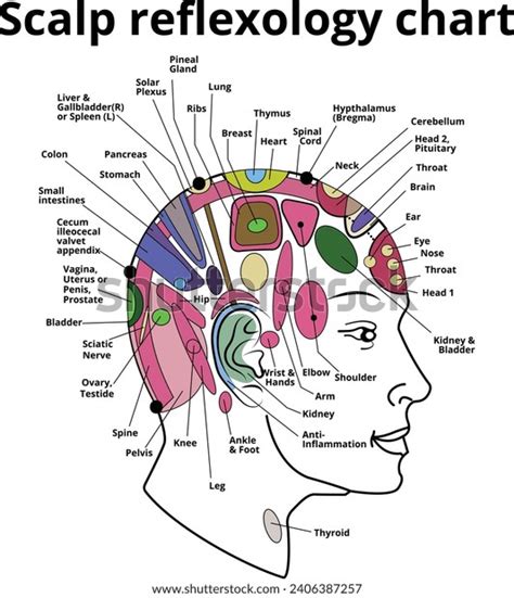 Face Reflexology Chart Poster Reflexology Chart Reflexology Heart