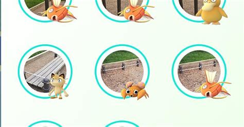 Magicarp Album On Imgur