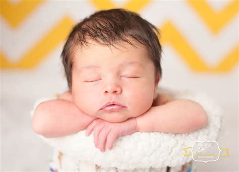 Meredith Dickens Photography