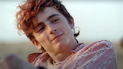 The First ‘bones And All Trailer With Timothée Chalamet Is As