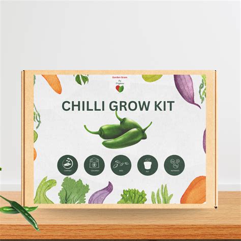 Buy Seeds Online Chilli Seeds Kit For Home Gardening Gardengram