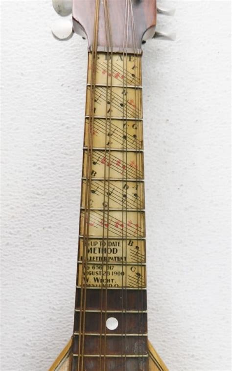 This Is A Bowl Back 12 String Mandolin I Can Find No Information About