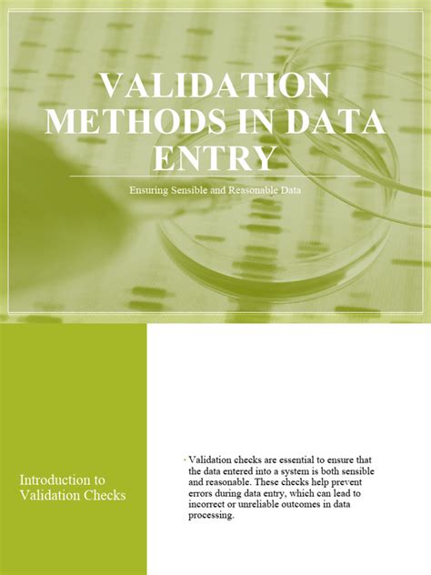 Validation Checks Presentation Pdf