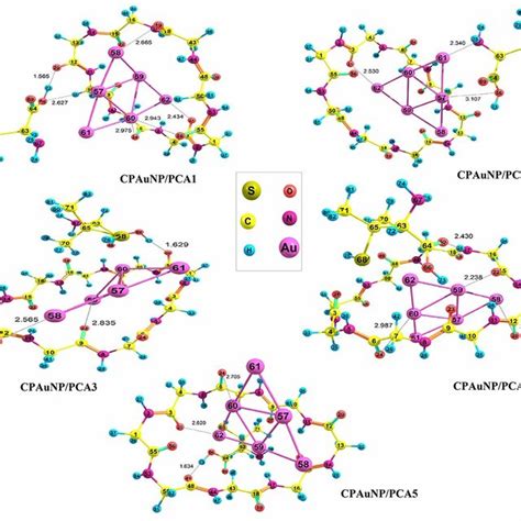 Molecular Graphs Of Cpaunp Pca1 And Cpaunp Pca10 In Aqueous Solution At Download Scientific