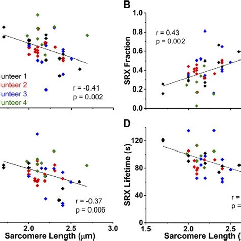 Relationship Of Fiber Relaxation Parameters And Resting Sarcomere