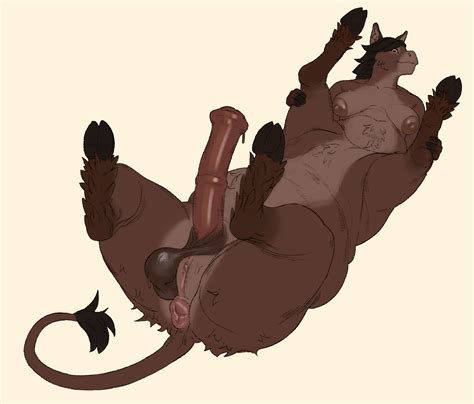Rule 34 Anthro Anus Asinus Big Breasts Big Penis Breasts Donkey Equid