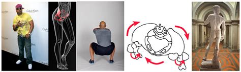 Workshops Flexibilityrx Performance Based Flexibility Training