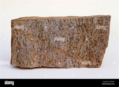 Spotted Rock