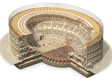 Cosa Vedere Allinterno Del Colosseo Romano Passeggiate Dentro Roma