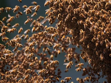 Ai Generated Illustration Of A Beehive Filled With Bees Buzzing Around In A Flurry Of Motion