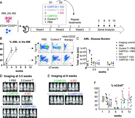 Therapy Model Cd34 Cd33 Del Cells Resist Cd33 Targeted Download