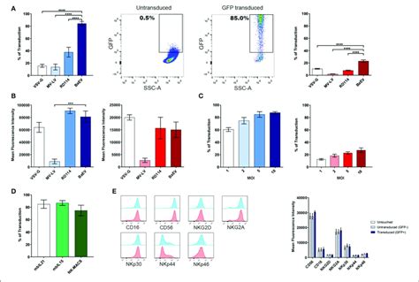 Baev Lv Efficiently Transduces Expanded Nkaes And Freshly Isolated Download Scientific