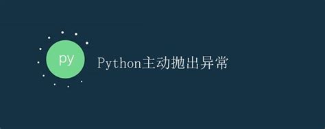 Python主动抛出异常 极客教程