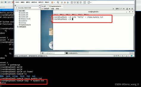 linux文件管理基本命令 linux怎么样将文件放进去 csdn博客
