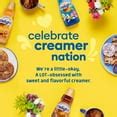 International Delight Peppermint Chocolate Truffle Coffee Creamer