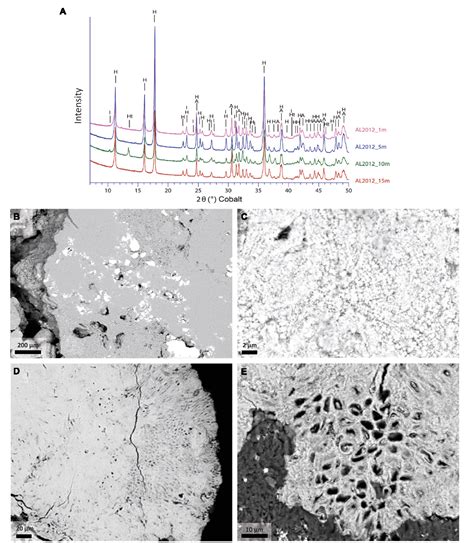 Pleurocapsa Sp Pcc 7314 Semantic Scholar