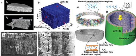 Ab 3d X‐ray Microscopic Image And Cd Scanning Electron Microscope