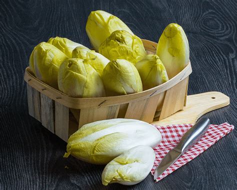 News A Clear Understanding Of Organic Inulin Extract Powder