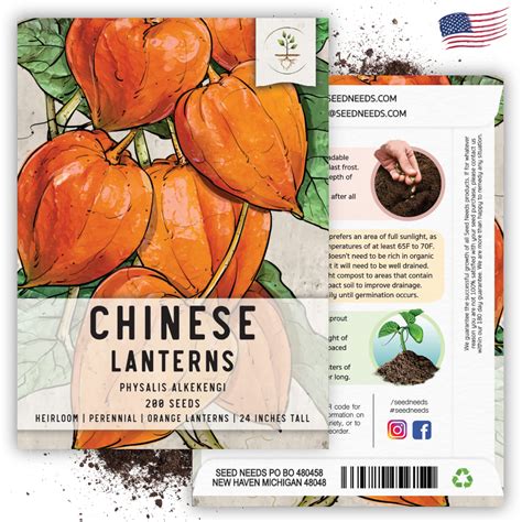 Growing Chinese Lanterns Which Are Chinas Fastest Growing Cities