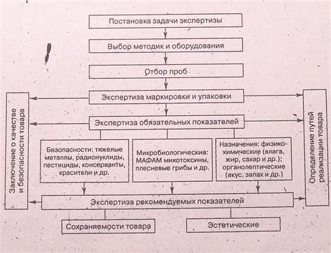 3 Основные составляющие экспертизы