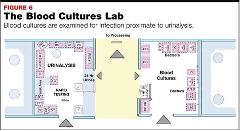 Microbiology Lab Layout Design