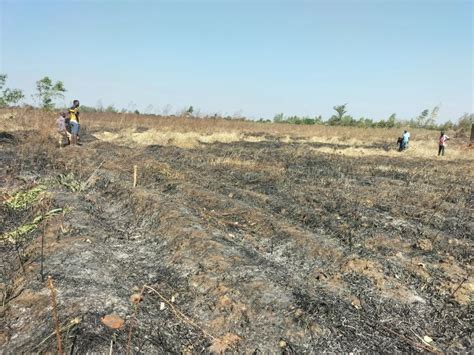 Aquatechsolutions Sustainableaquaculture Zombajali