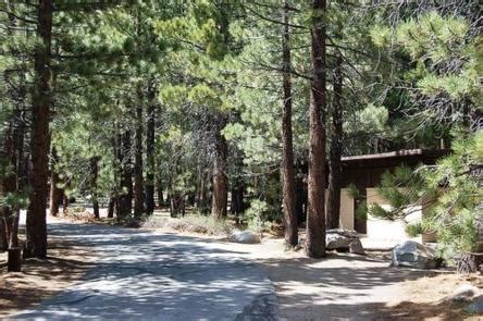 New Shady Rest Campground Inyo National Forest