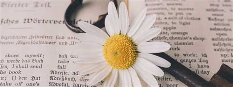 Assertività La Chiave Della Comunicazione Efficace Il Filo Di