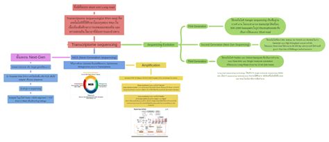 Transcriptome Sequencing 1000002173 1000002160 Coggle Diagram