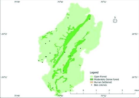 Jhalana Leopard Reserve Khoh Nagorian Reserve Forest Showing Bee Colonies Download