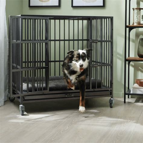 What Size Crate For A Cockapoo Should You Choose