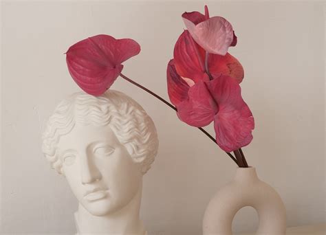 How I Handle Episodes Of Body Dysmorphia