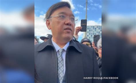 Harry Roque Asks Netherlands For Asylum Over ‘political Persecution In Ph