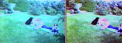 Vhs Cleanup Have I Done Enorgh Videohelp Forum