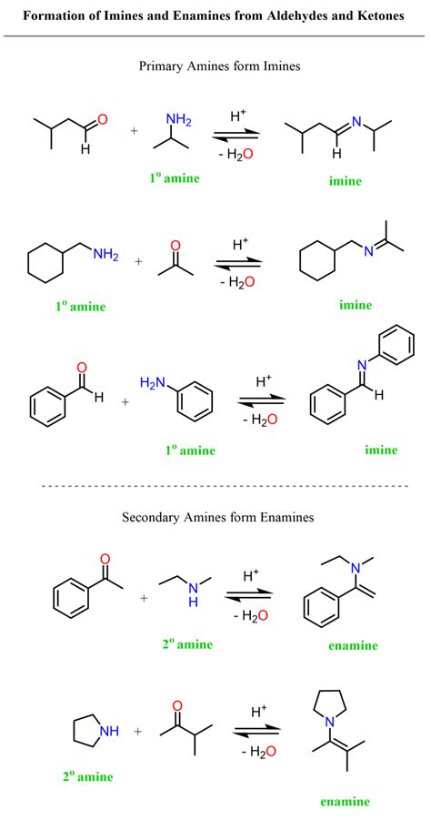 Formation Of Imines And Enamines Chemistry Steps