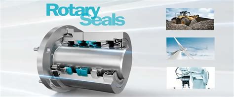 Dynamic Seals Something You Need To Know Professional Rubber