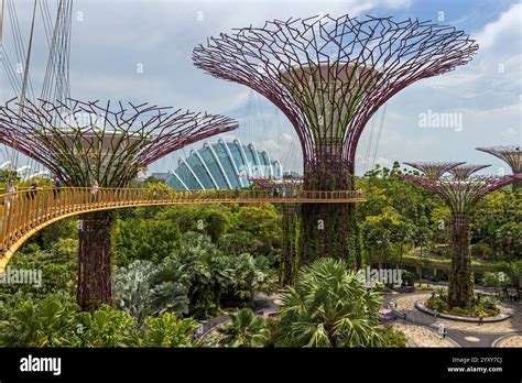 Skywalk Experience And Supertree Observatory Gardens By The Bay