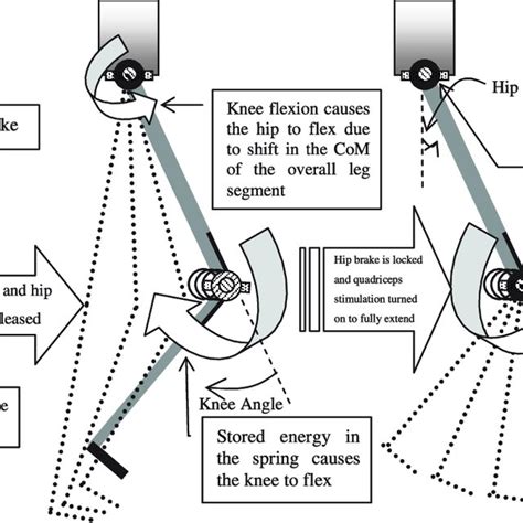 Schematic Of Sbo Concept Download Scientific Diagram