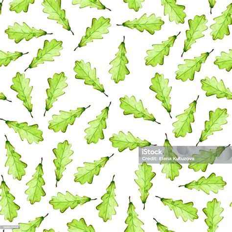 Bright Green Oak Leaves Pattern Stock Illustration Download Image Now