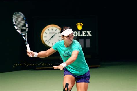 Li Na Wta 2013 Istanbul By Galipwolkan On Deviantart