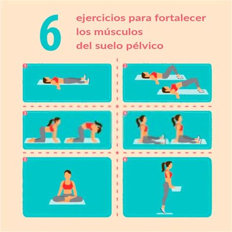 Ejercicios De Kegel Prevenir Y Controlar La Incontinencia Urinaria