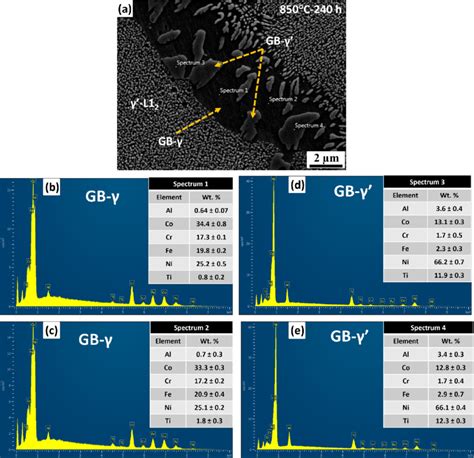 (a) SEM micrograph shows the CPs (i.e. GB-γ and GB-γ ) of 850°C -240 h ...