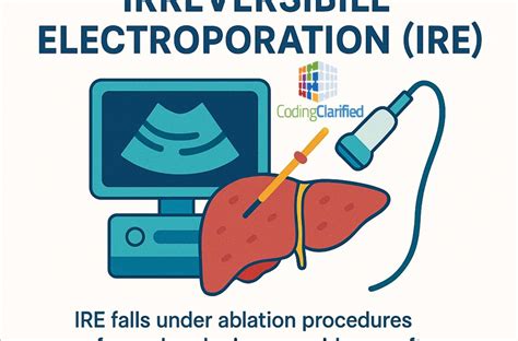Certification Archives Coding Clarified