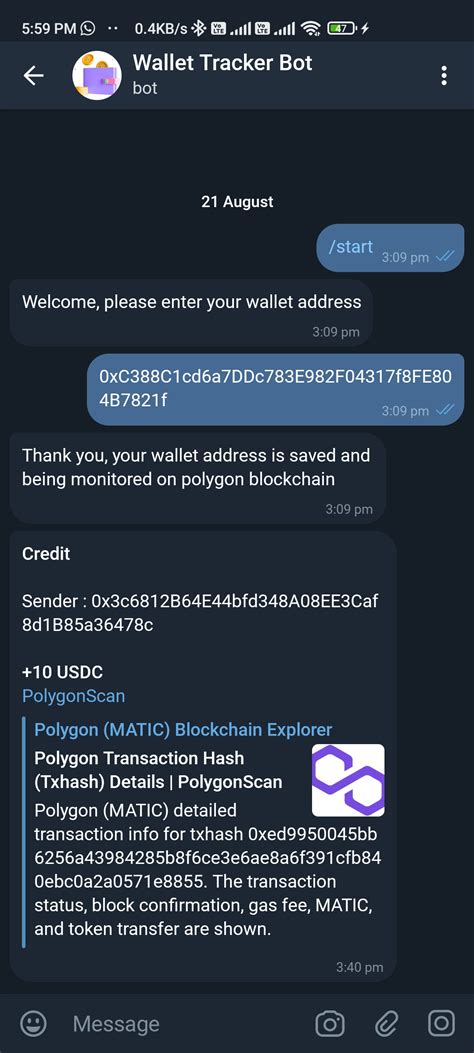 Wallet Tracker Bot Devpost
